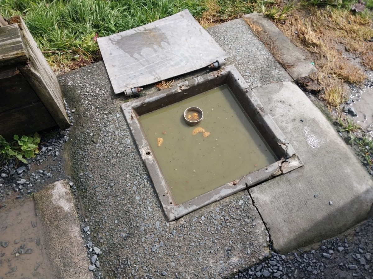Public Dump Station - Water Tanker Filling Station Wellsford PDS - New ...